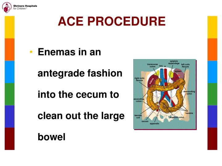PPT - Management of the Neurogenic Bowel PowerPoint Presentation - ID ...