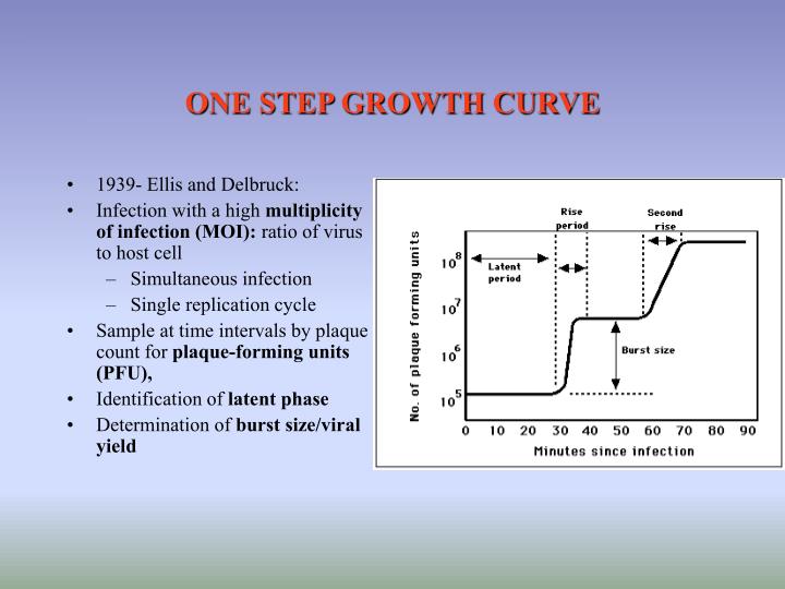 PPT - General Virology PowerPoint Presentation - ID:1270837