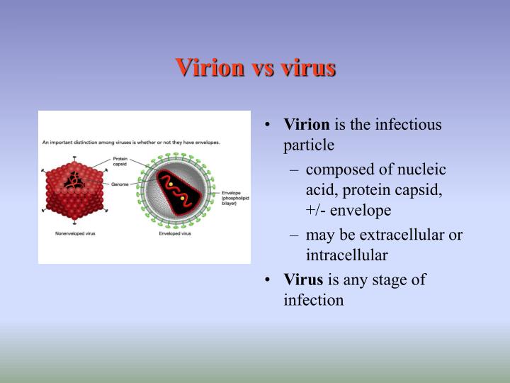PPT - General Virology PowerPoint Presentation - ID:1270837