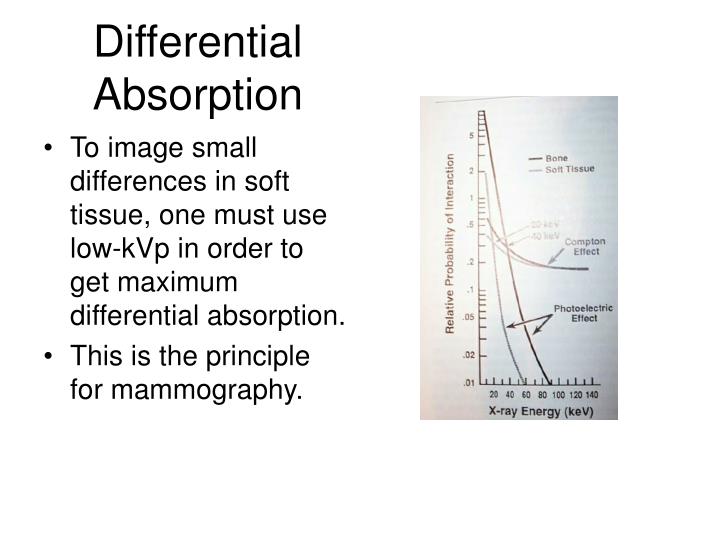 PPT - X-ray Interaction with Matter PowerPoint Presentation - ID:1271253