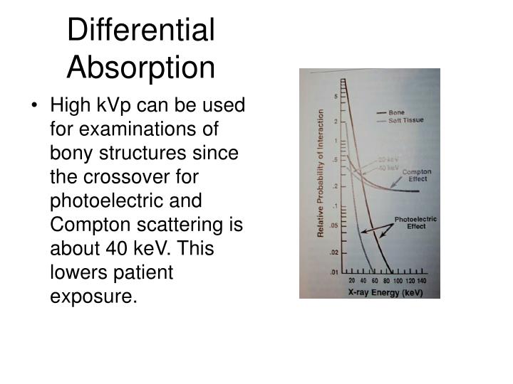 PPT - X-ray Interaction with Matter PowerPoint Presentation - ID:1271253