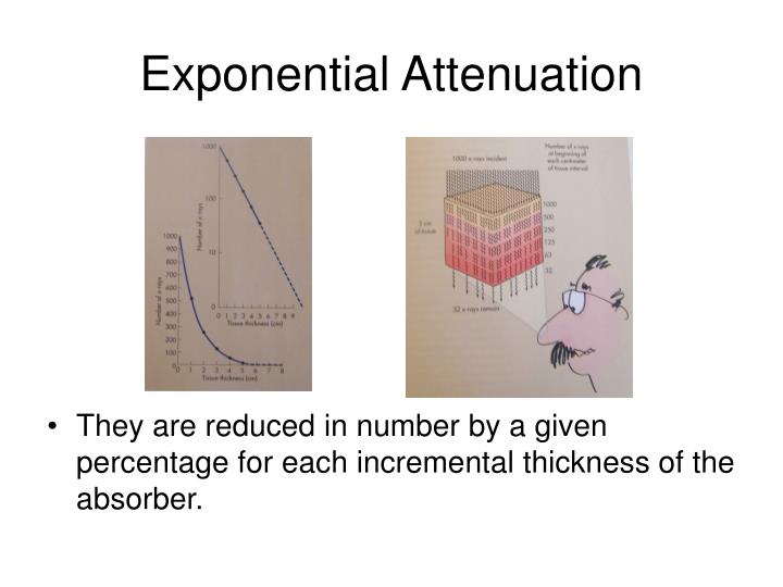 PPT - X-ray Interaction with Matter PowerPoint Presentation - ID:1271253