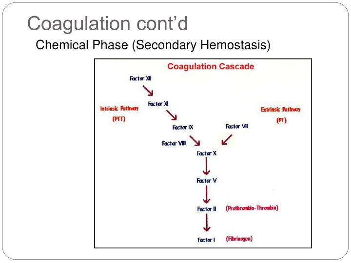 PPT - Coagulation / Coagulopathies PowerPoint Presentation - ID:1271393