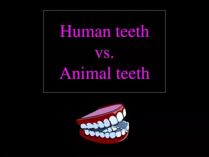 PPT - Human teeth vs. Animal teeth PowerPoint Presentation, free ...