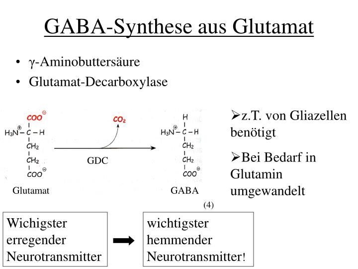 PPT - Glutamat und Neurotoxizität PowerPoint Presentation - ID:1271739