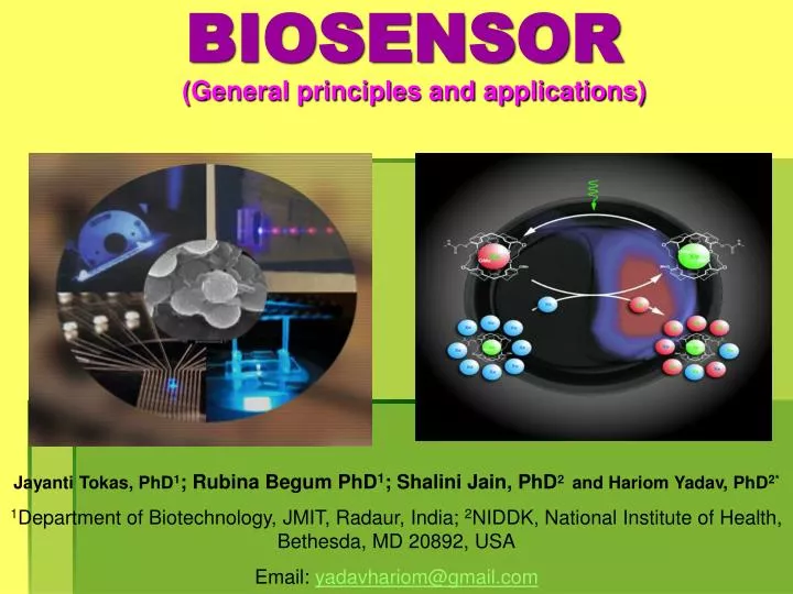 PPT - BIOSENSOR PowerPoint Presentation, free download - ID:1272511