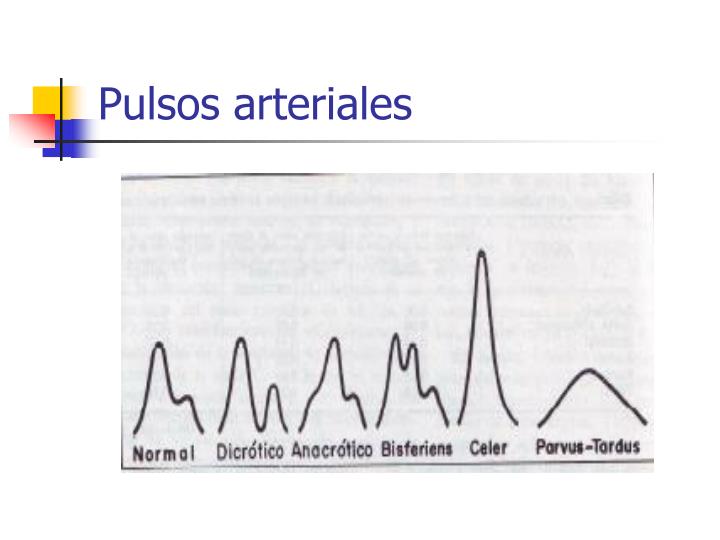 PPT - Pulsos arteriales y venosos PowerPoint Presentation - ID:1272639