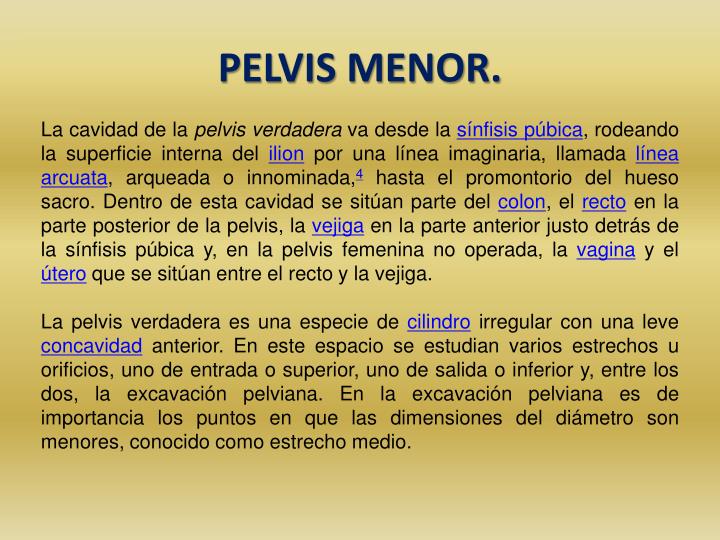 PPT - CONTENIDO DE LA PELVIS PowerPoint Presentation - ID:1272760