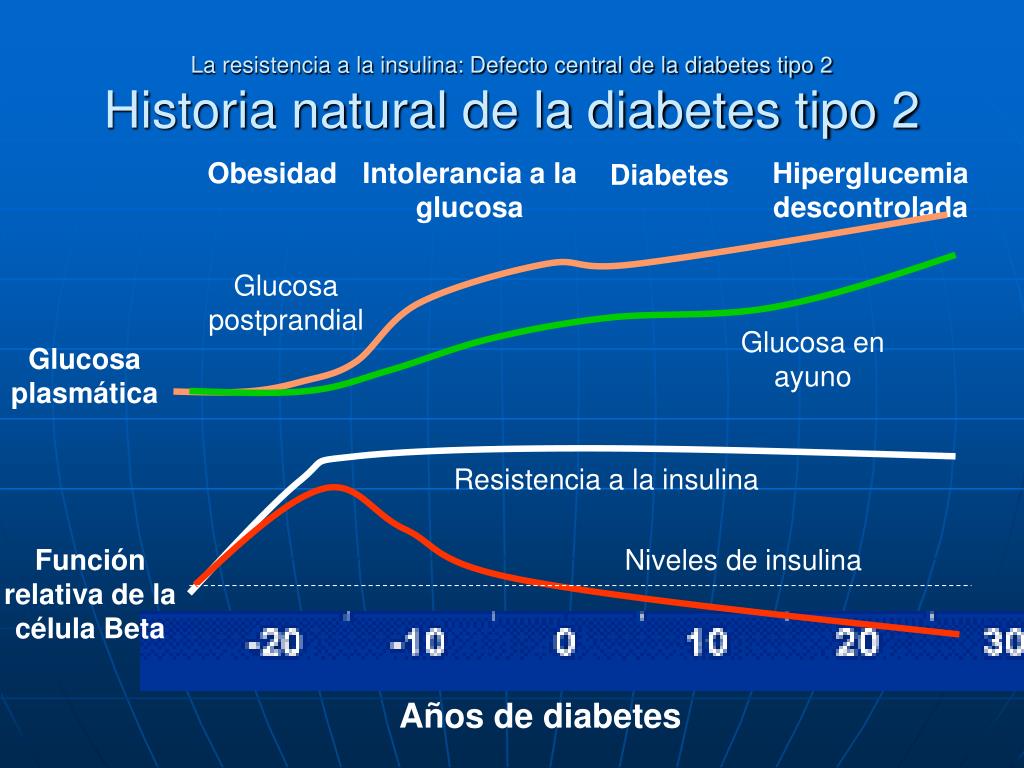 PPT - La resistencia a la insulina: Defecto central de la diabetes tipo ...