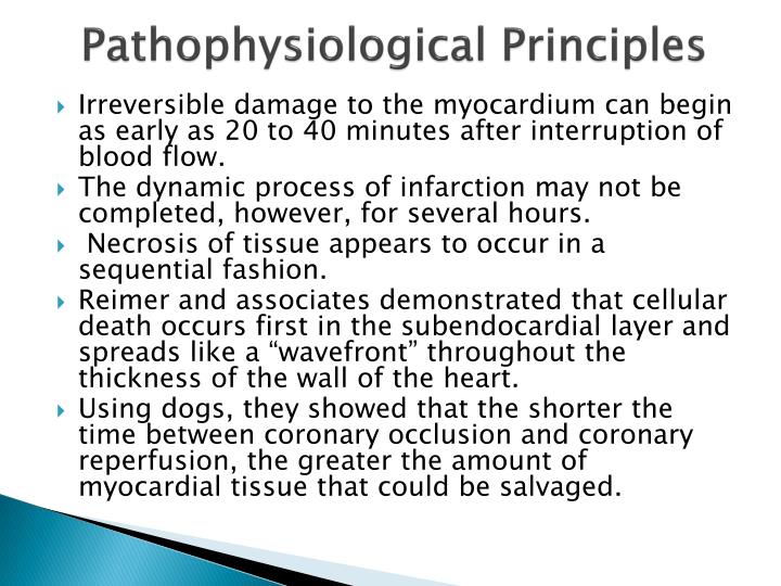 PPT - MYOCARDIAL INFARCTION PowerPoint Presentation - ID:1273379