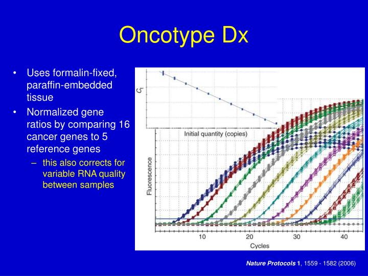 PPT - Tumor Biomarkers PowerPoint Presentation - ID:1274352