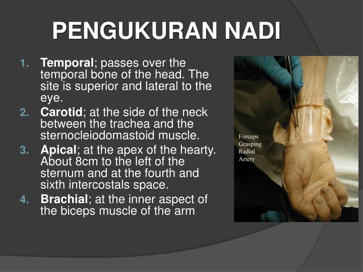 PPT - TANDA-TANDA VITAL ( VITAL SIGNS) PowerPoint Presentation - ID:1274517