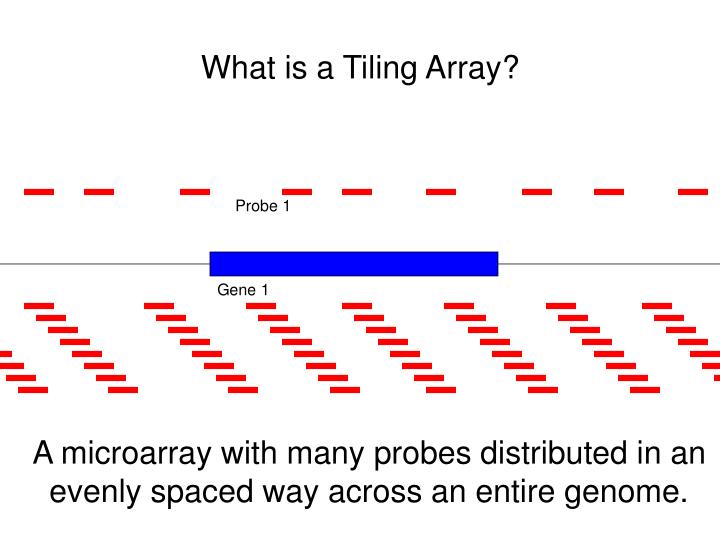PPT - Tiling Arrays PowerPoint Presentation - ID:1275163