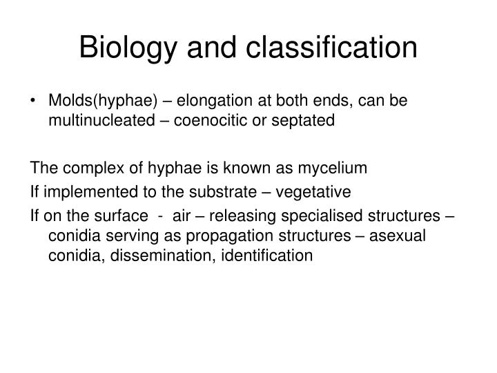 PPT - Mycology is the study of PowerPoint Presentation - ID:1275365