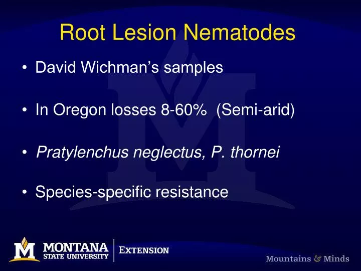 PPT - Root Lesion Nematodes PowerPoint Presentation, free download - ID ...