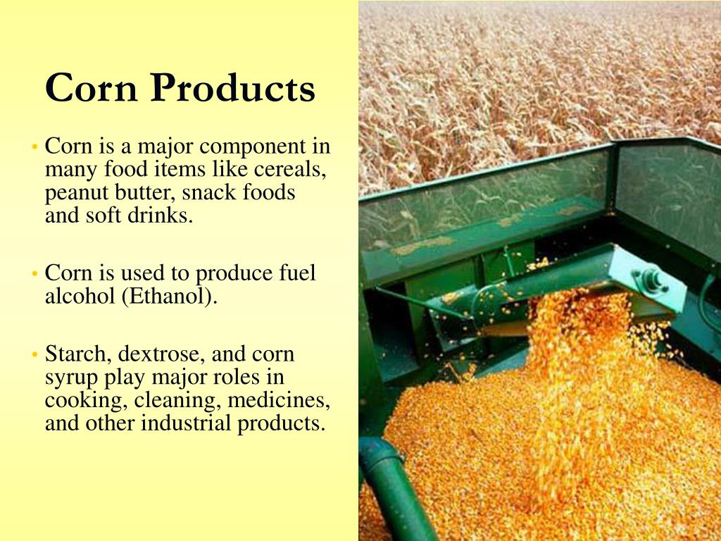PPT - Corn Industry An Overview of the Corn Industry in Georgia ...