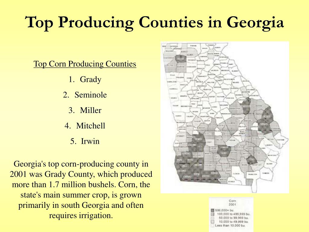 PPT - Corn Industry An Overview of the Corn Industry in Georgia ...