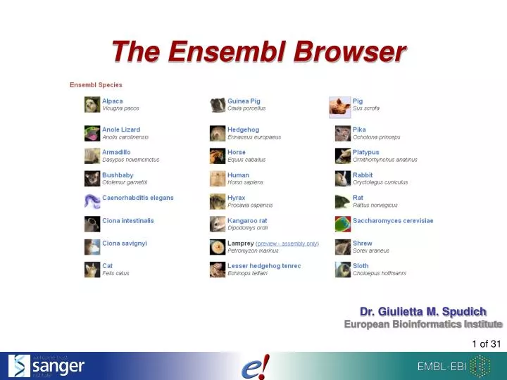 PPT - Dr. Giulietta M. Spudich European Bioinformatics Institute ...