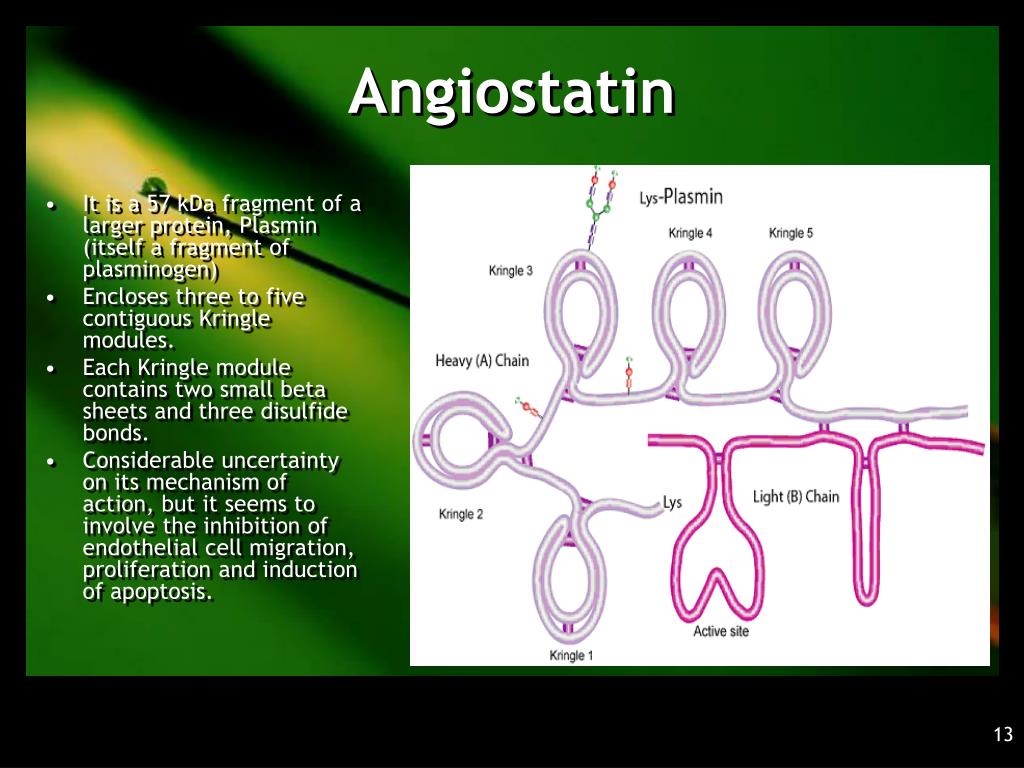 PPT - Anti-Angiogenic Cancer Therapies PowerPoint Presentation, free ...