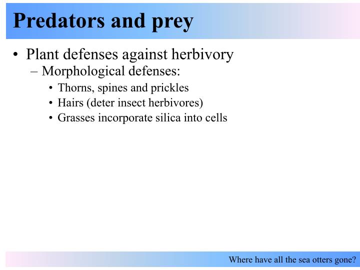 PPT - Predators and prey PowerPoint Presentation - ID:1278121