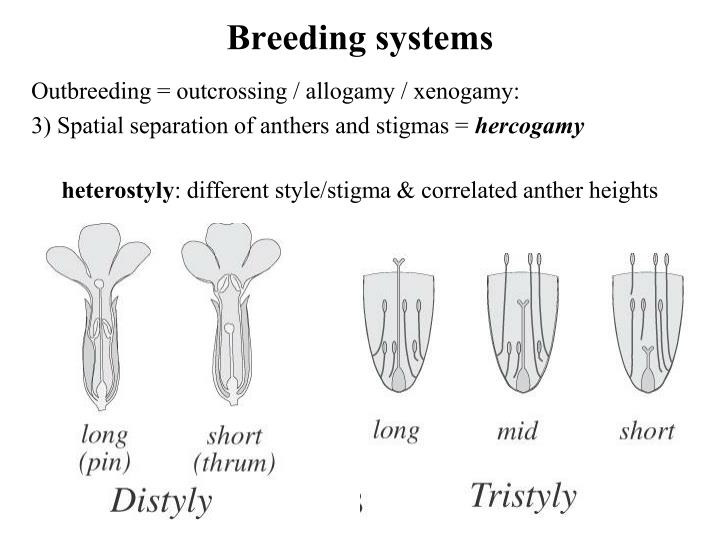 PPT - Plant Reproductive Biology Michael G. Simpson PowerPoint ...