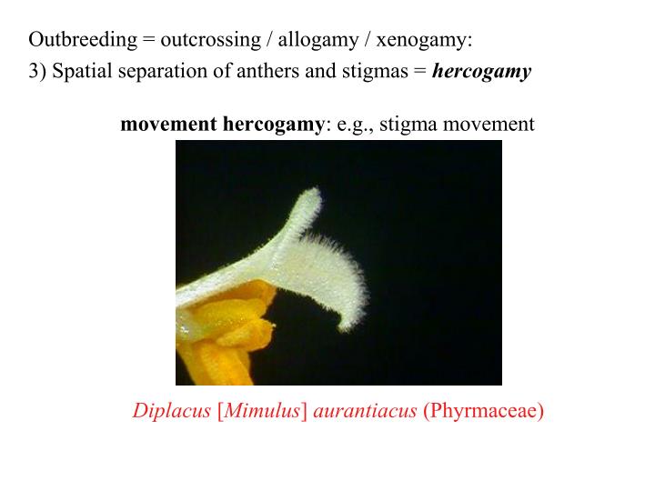 PPT - Plant Reproductive Biology Michael G. Simpson PowerPoint ...