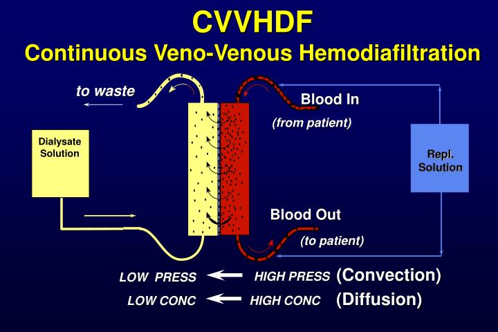 PPT - Continuous Renal Replacement Therapy PowerPoint Presentation - ID ...