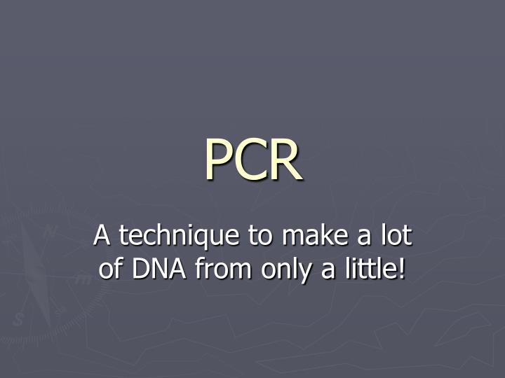 PPT - PCR PowerPoint Presentation, free download - ID:1279442