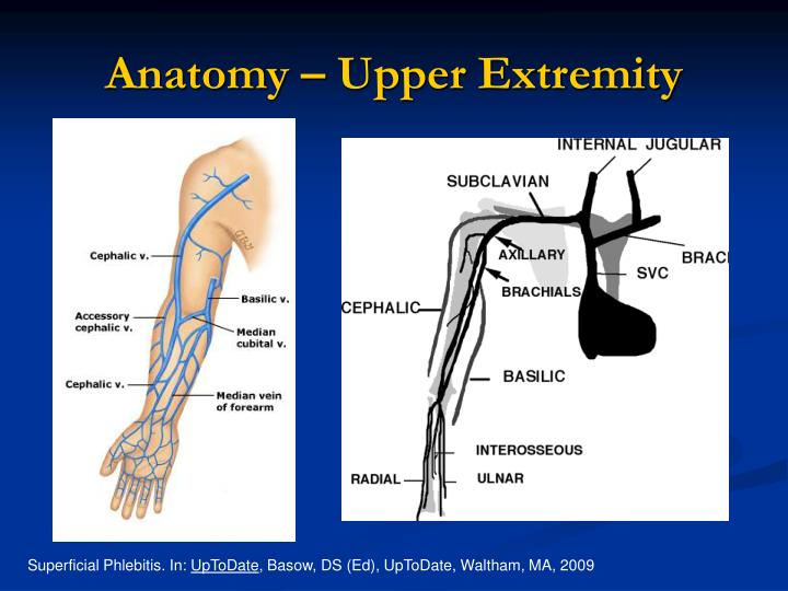 PPT - Superficial Venous Thrombophlebitis: To Treat or Not To Treat ...