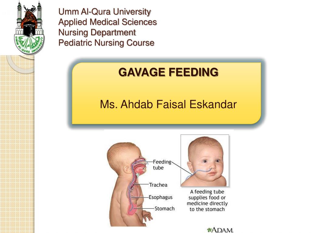 PPT Umm Al Qura University Applied Medical Sciences Nursing Department Pediatric Nursing Course PowerPoint Presentation ID 1281030