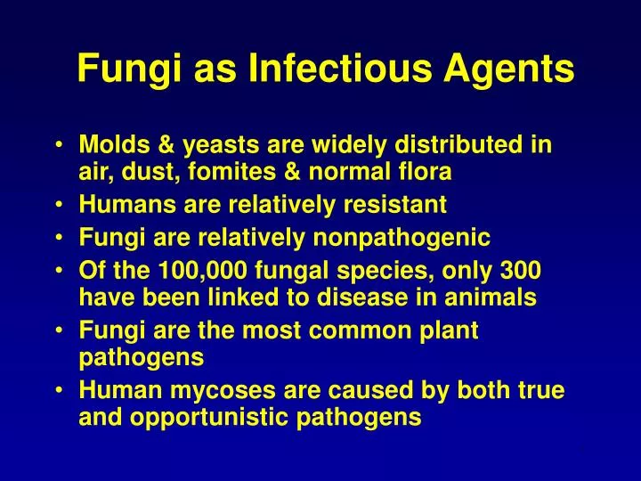 PPT - Fungi as Infectious Agents PowerPoint Presentation, free download ...