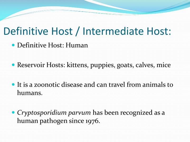 PPT - Cryptosporidium parvum PowerPoint Presentation - ID:1281338