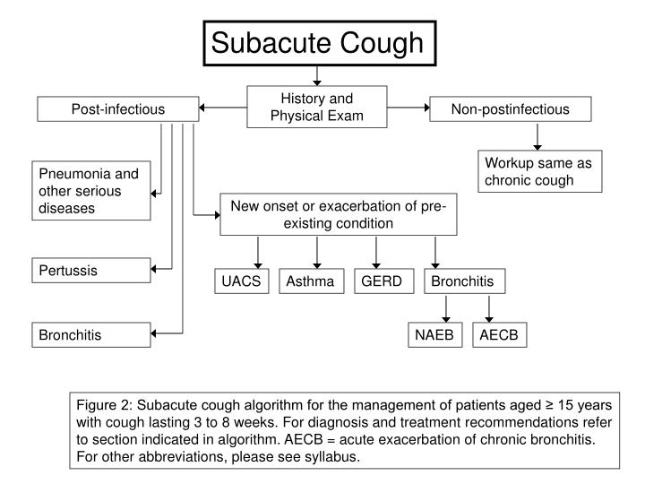 PPT - Cough: Defense Mechanism and Symptom PowerPoint Presentation - ID ...