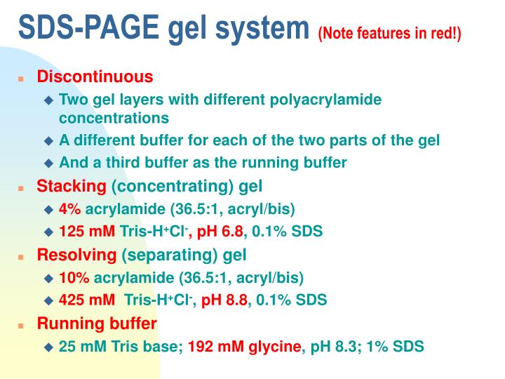 PPT - SDS-PAGE PowerPoint Presentation - ID:1282532