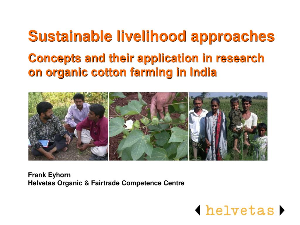 PPT - Sustainable livelihood approaches Concepts and their application ...