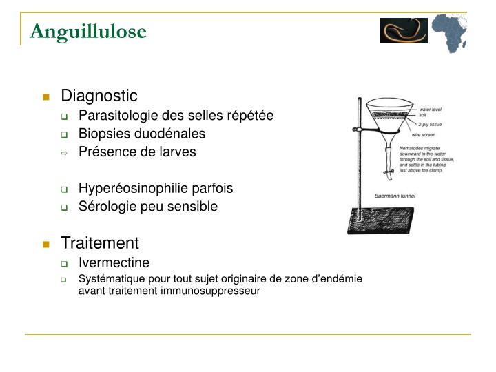 PPT - Parasitoses digestives PowerPoint Presentation - ID:1283103