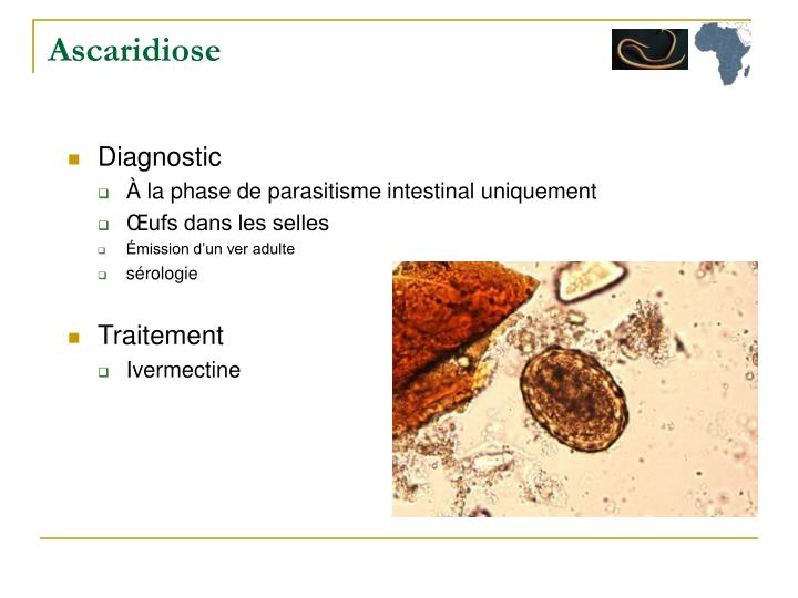 PPT - Parasitoses digestives PowerPoint Presentation - ID:1283103