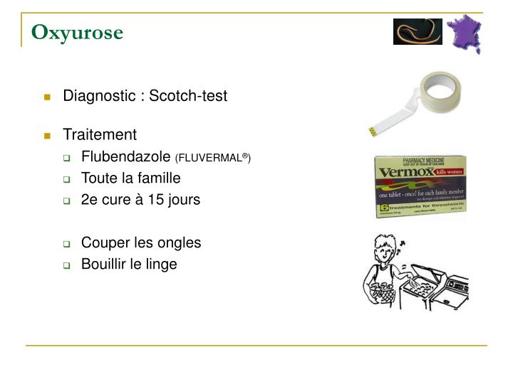 PPT - Parasitoses digestives PowerPoint Presentation - ID:1283103