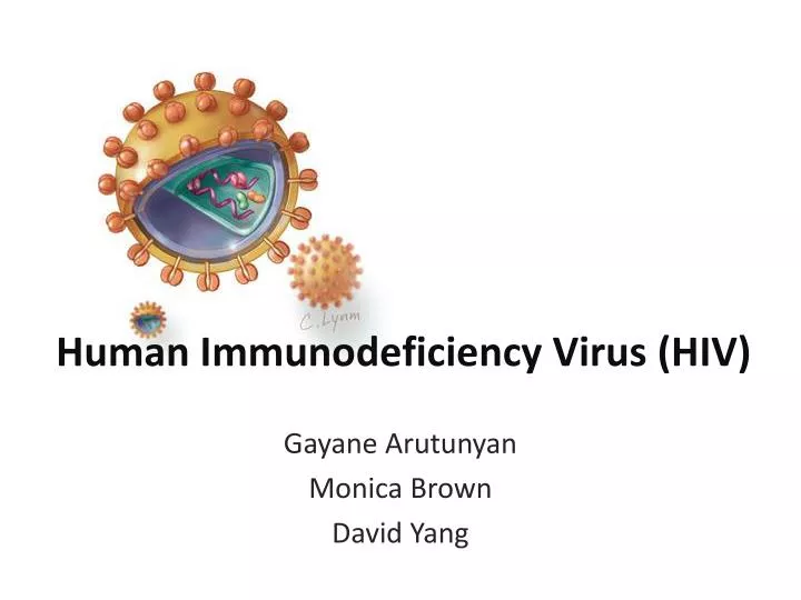 PPT - Human Immunodeficiency Virus (HIV) PowerPoint Presentation, free ...