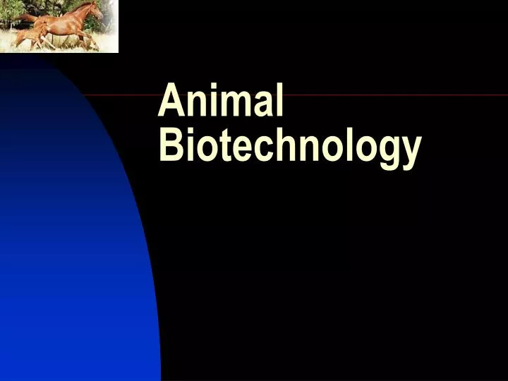 PPT - Animal Biotechnology PowerPoint Presentation, free download - ID ...