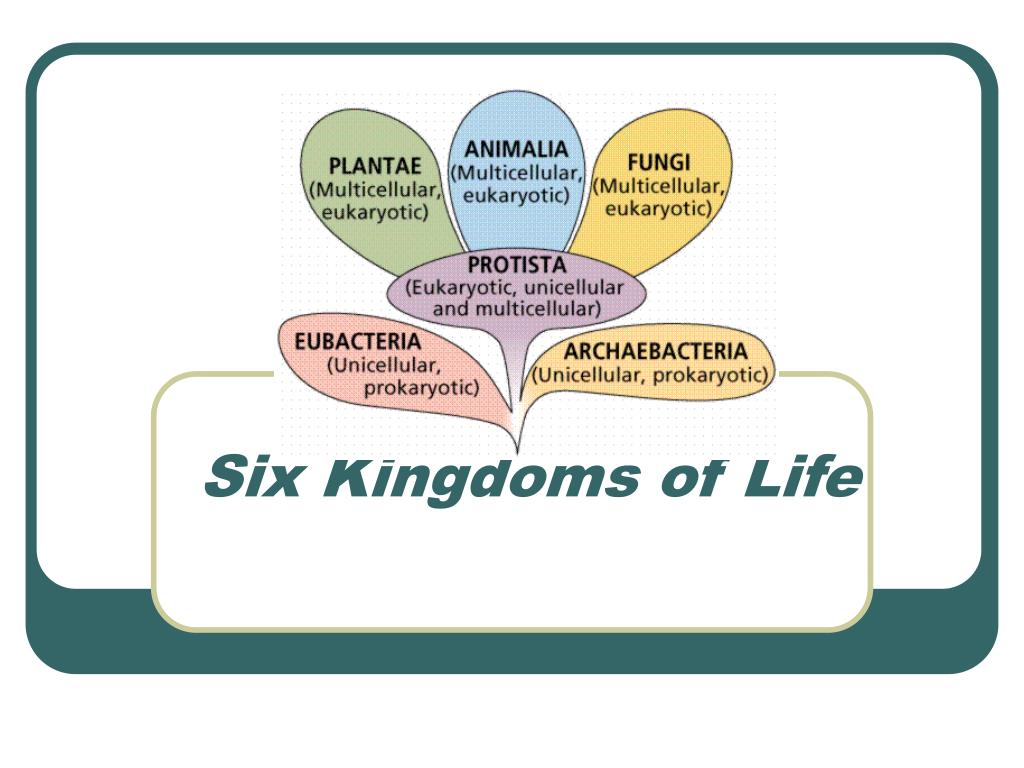 Ppt Six Kingdoms Of Life Powerpoint Presentation Free Download Id
