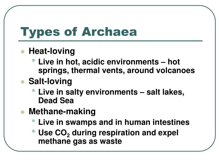 PPT - Six Kingdoms of Life PowerPoint Presentation - ID:1284689