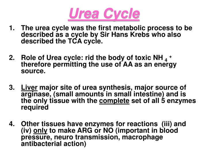 PPT - # 3 UREA CYCLE PowerPoint Presentation - ID:1285362