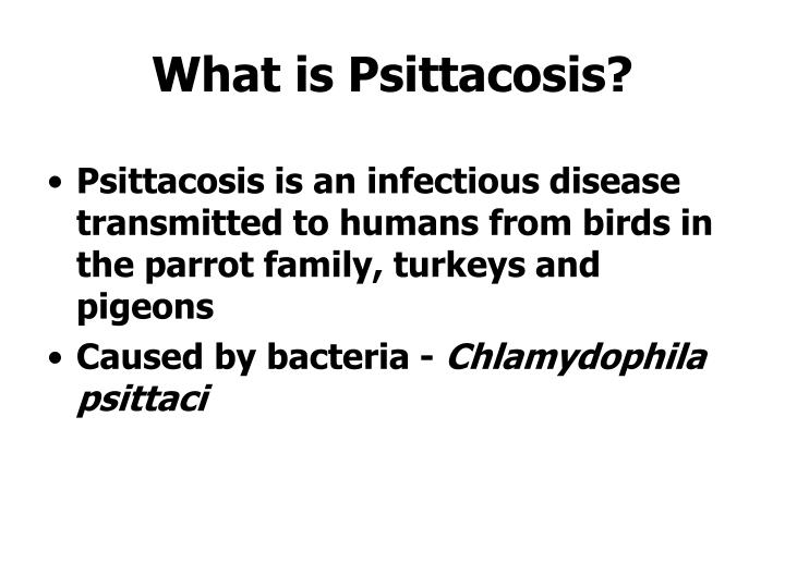PPT - East Tennessee Region PowerPoint Presentation - ID:1285852