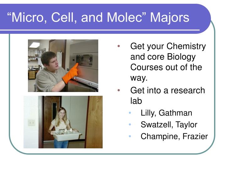 PPT - “Micro, Cell, and Molec” Majors PowerPoint Presentation, free ...