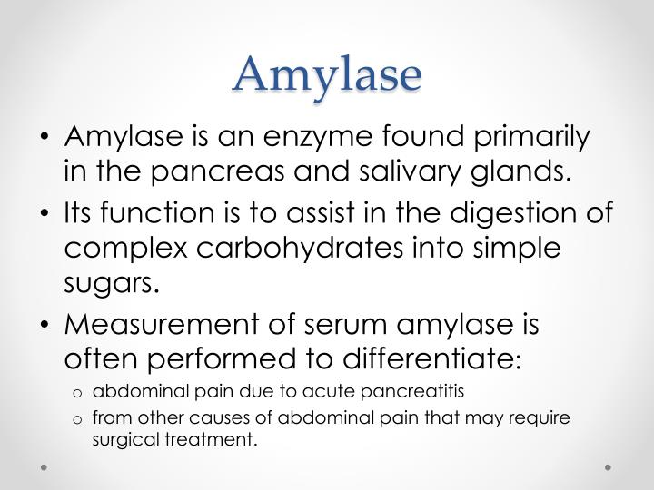 PPT - Bilirubin & Amylase PowerPoint Presentation - ID:1287083