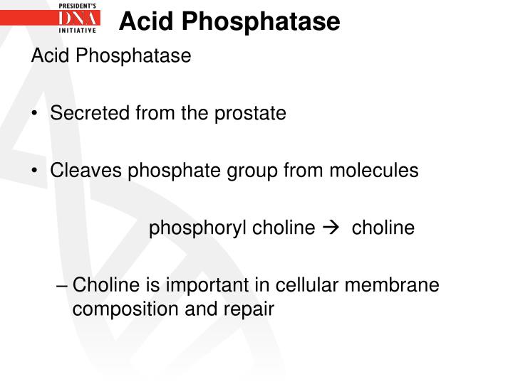 PPT - Forensic Biology Screening Workshop Semen PowerPoint Presentation ...