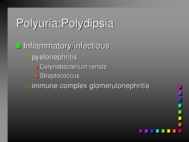 PPT - Problem-oriented approach to Polyuria:Polydipsia PowerPoint ...