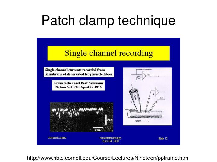 PPT - Study of Ionic Currents by the Patch Clamp Technique PowerPoint Presentation - ID:1288013