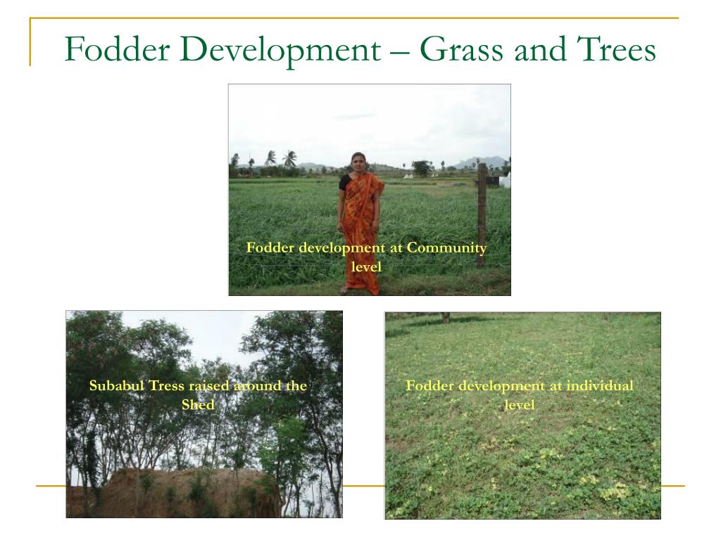 PPT - Environmental Management for Sustainable Rural Livelihoods ...